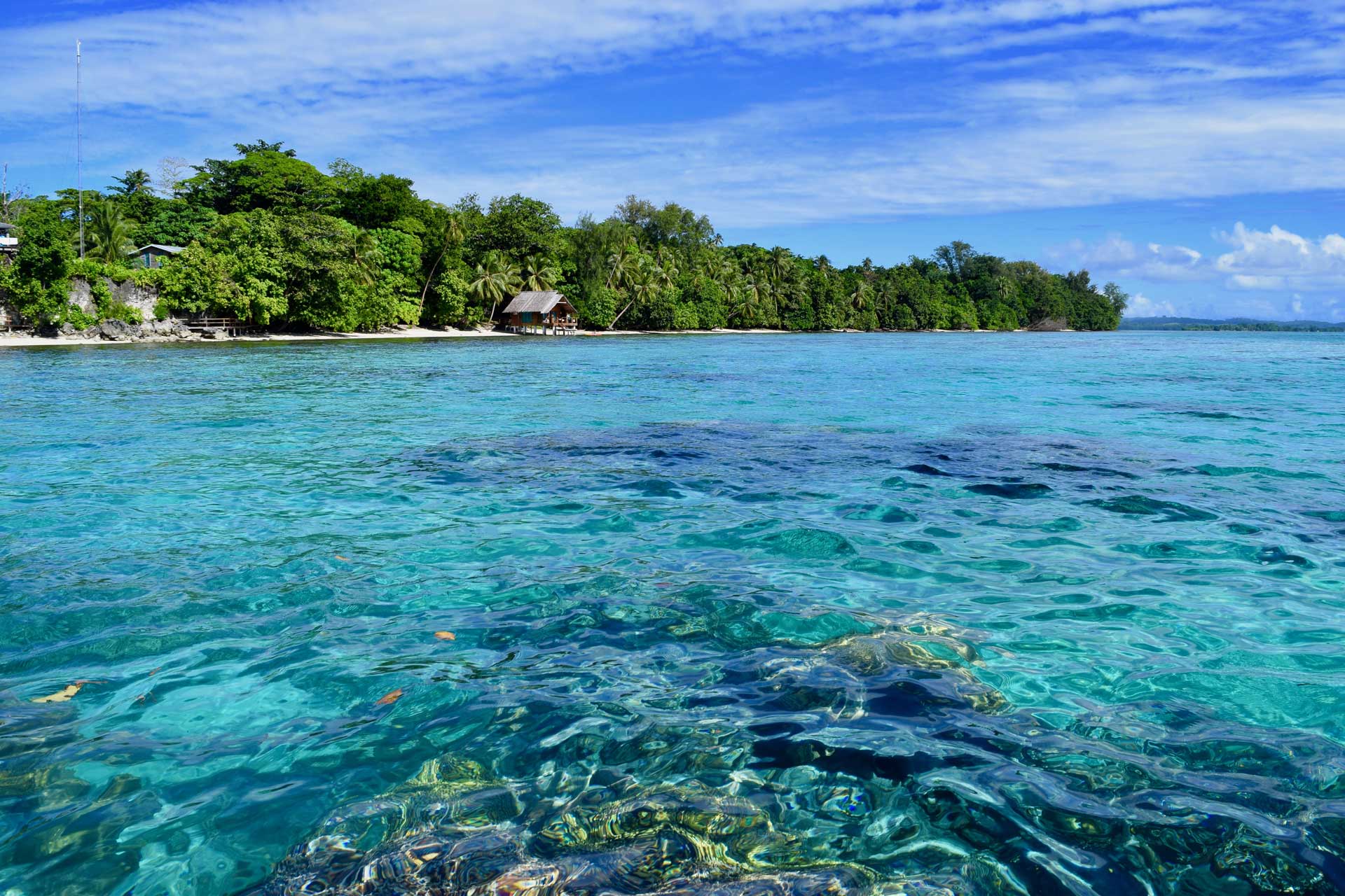 12 small Oceanian and African island nations in a fight to keep the ...