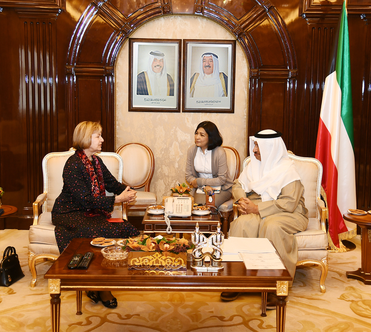 Emma Harriet Nicholson, Baroness of Winterbourne: A Remarkable Journey ...