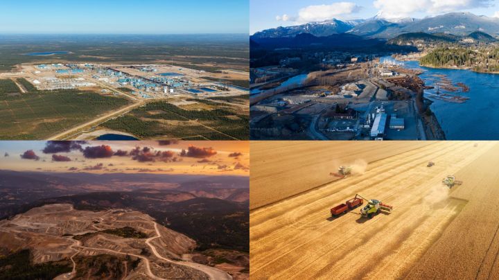 The Economic Importance of Natural Resources - thediplomaticaffairs.com